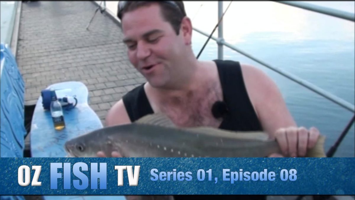 Oz Fish TV Archives - AFNTV