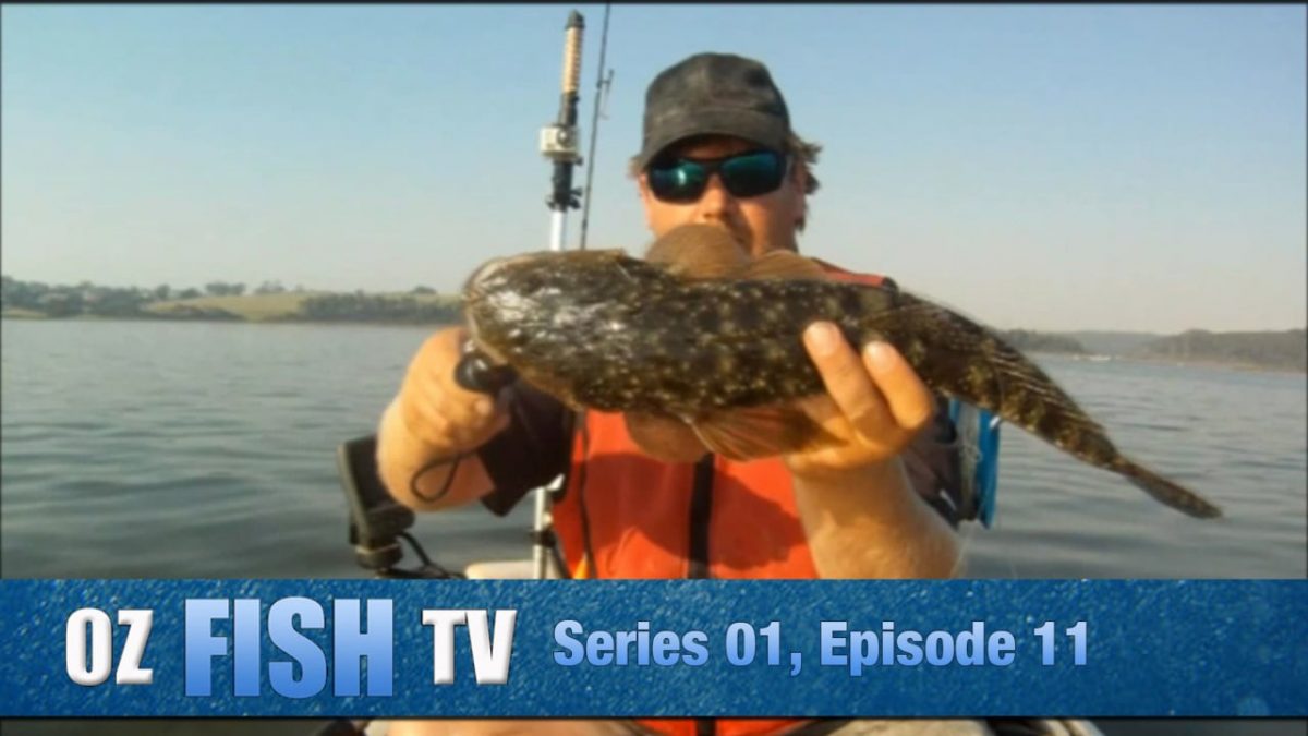 Oz Fish TV Archives - AFNTV