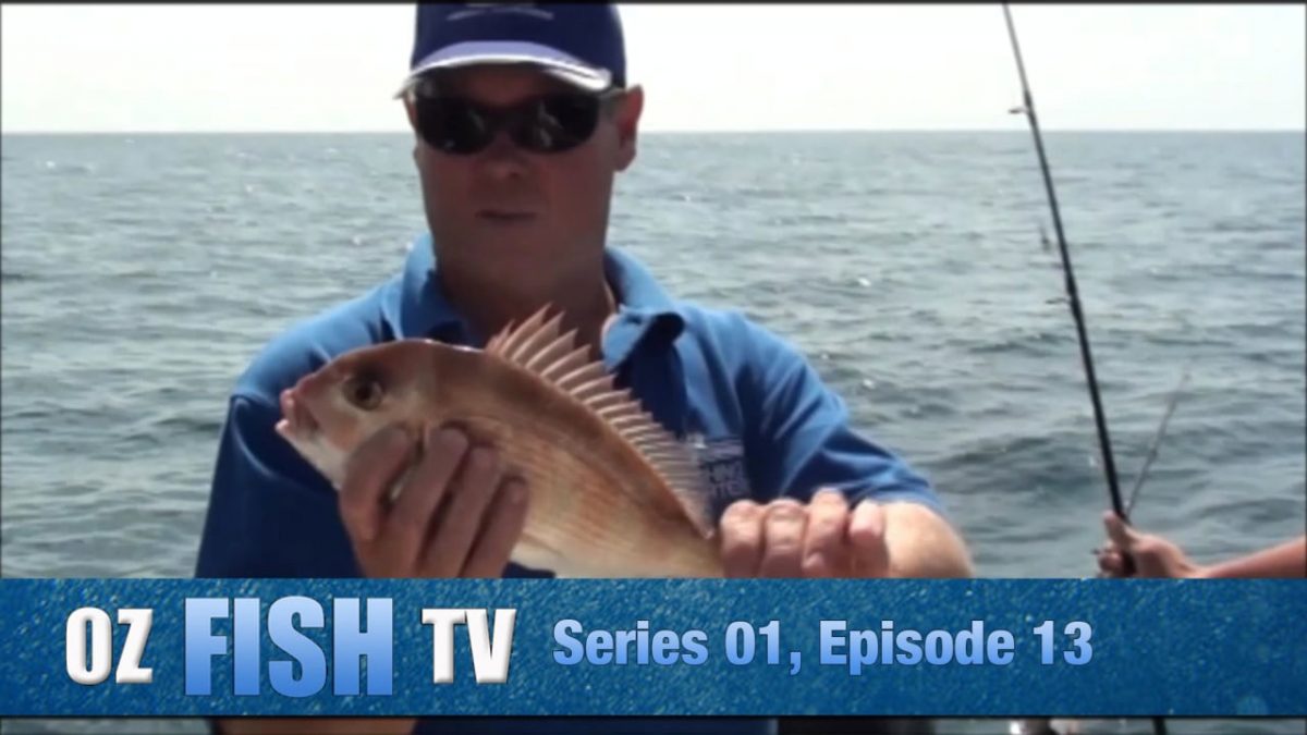 Oz Fish TV Archives - AFNTV